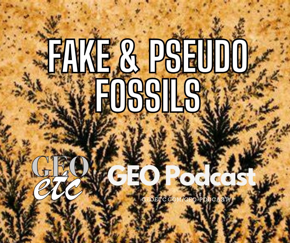 Fake and Pseudo Fossils